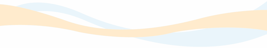 Brand Guide - Algonomy